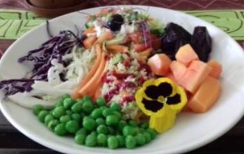 Safari Café – Safari Ostrich